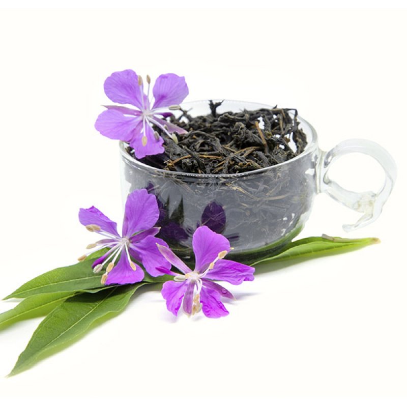 Ivan-Chai, fermented, green