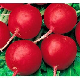 Russian heirloom seeds!