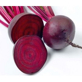 Easy way to start seeds without soil