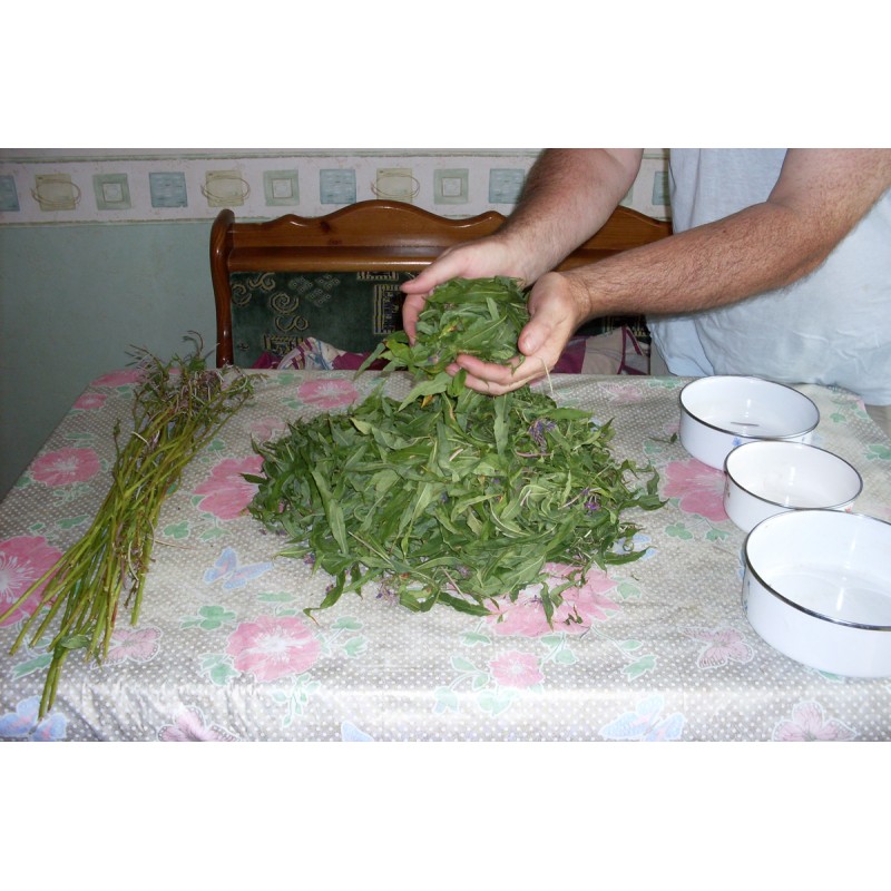 Ivan-Chai, fermented, black