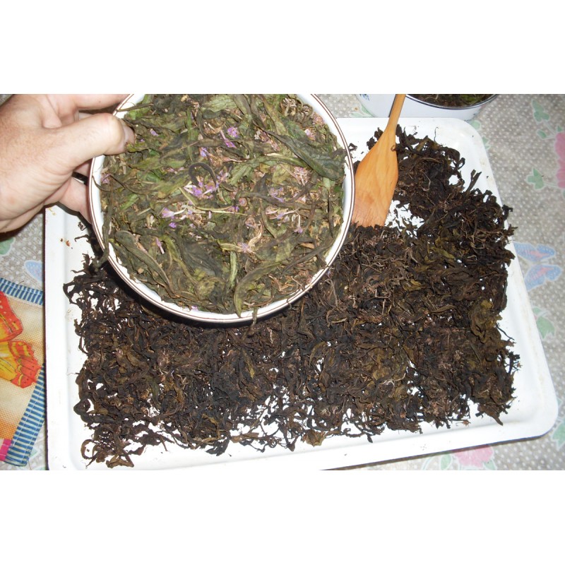 Ivan-Chai, fermented, black