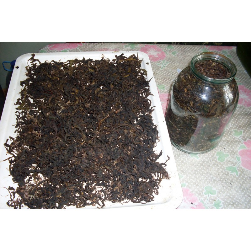 Ivan-Chai, fermented, black