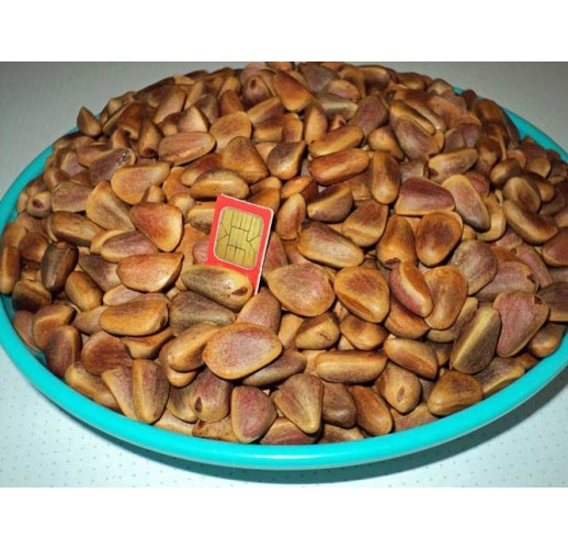 Cedar nuts (Far East) 250 g - raw superfood