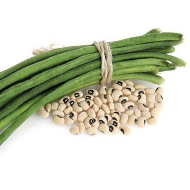 Snake beans (Vigna), heirloom, non-gmo, organic